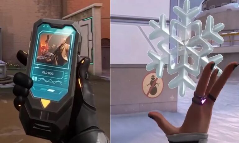 Valorant: New FLEX Cosmetic and how to get FLEX Skins