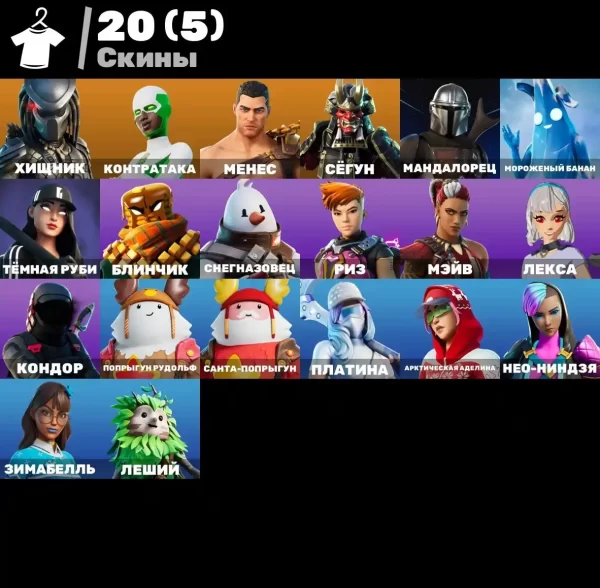 Fortnite Account with 20 Skins – Lifetime Access