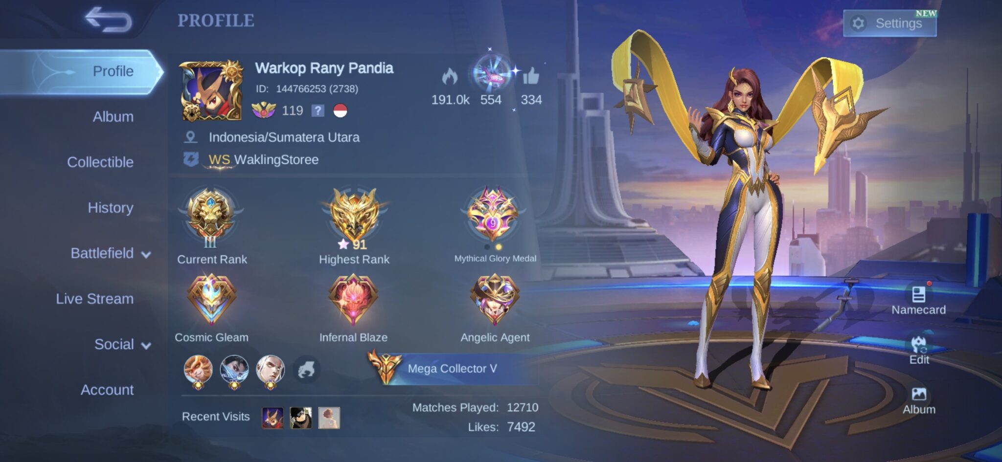 MLBB Mega Collector V | 571 Skins | iOS/Android